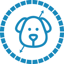 How Radiology Works - Radiology Education and CE Credits